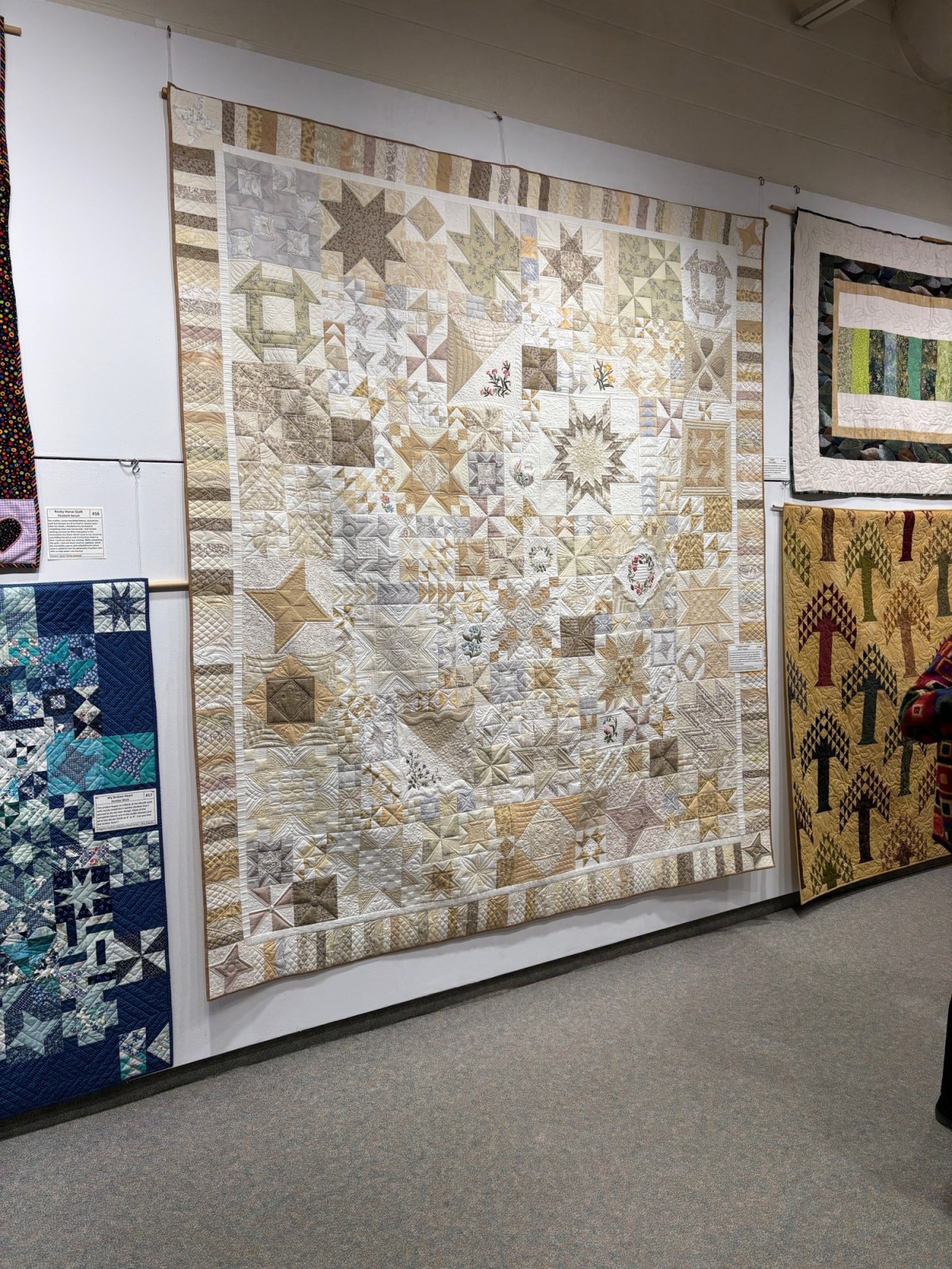 Quilt Fever 2025 – Etobicoke Quilters' Guild